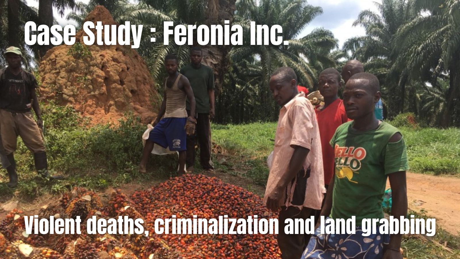 Case Study : Feronia Inc. - Violent deaths, criminalization and land grabbing | CNCA - RCRCE