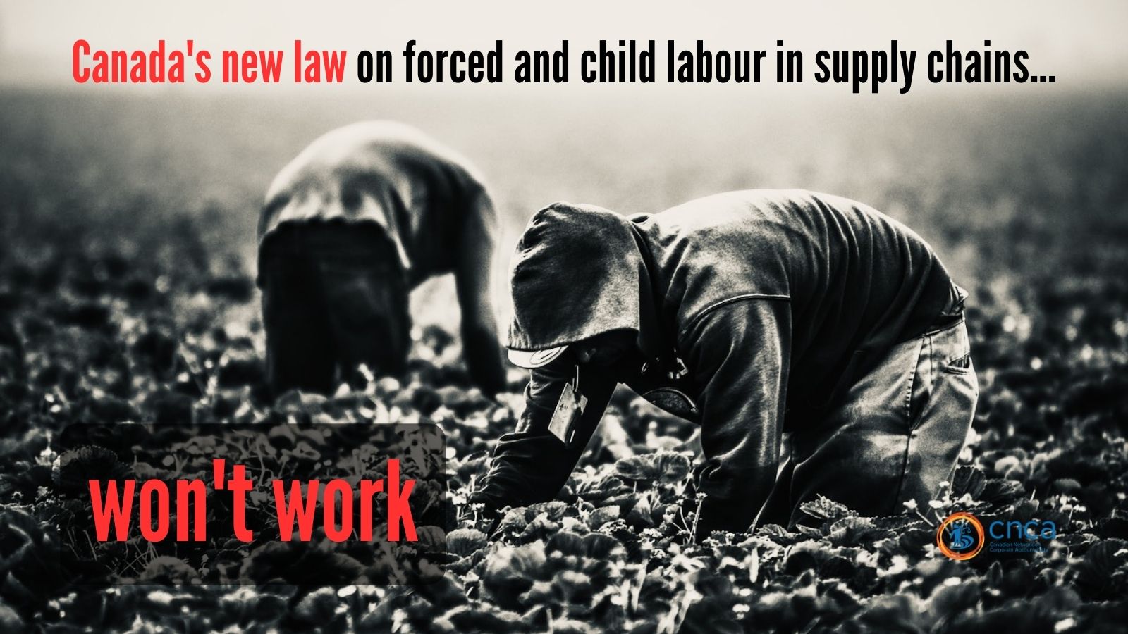 Canada’s new law on forced and child labour in supply chains won’t work ...
